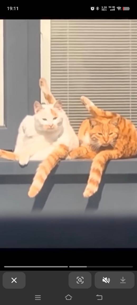 galgame女主专用话术 另一种白幼瘦的囧图 _ 游民星空 GamerSky.com